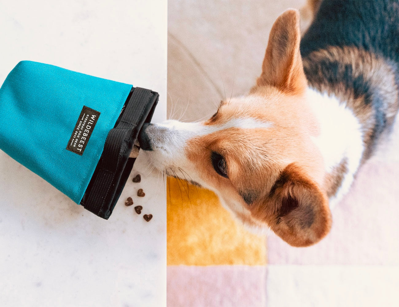 Alamo Dog Treat Pouch – Wildebeest