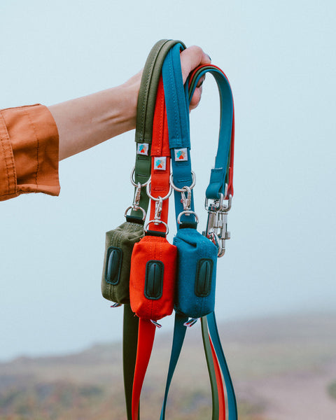 Wildebeest | Dog Essentials